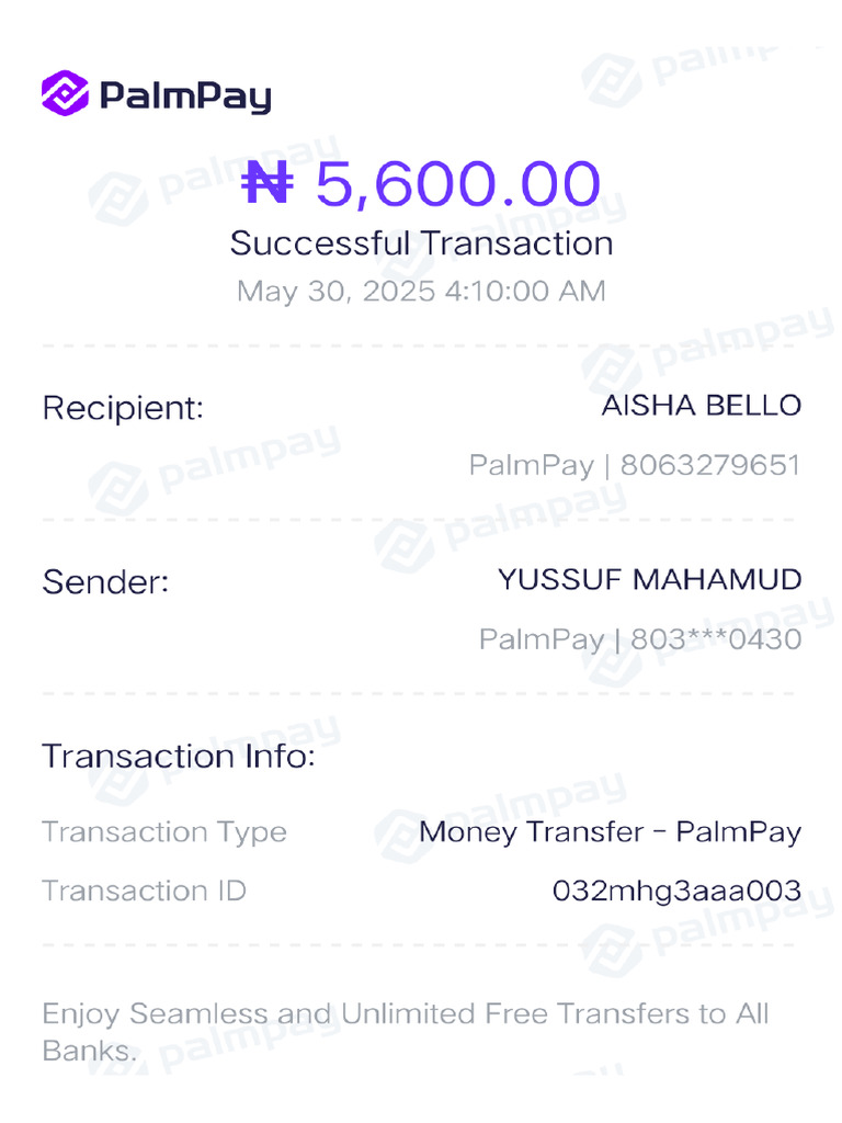 Palm Pay | PDF
