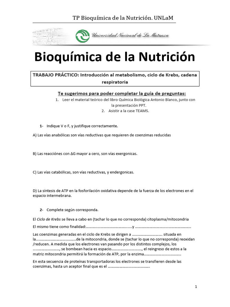 TP BIOQUIMICA Metabolismo Intermedio | PDF | Dieta y nutrición | Química