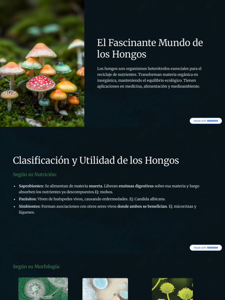 El Fascinante Mundo de Los Hongos | PDF | Organismos | Biología