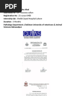 Infra-Auricular Mass Overview | PDF | Blood Cell | Blood