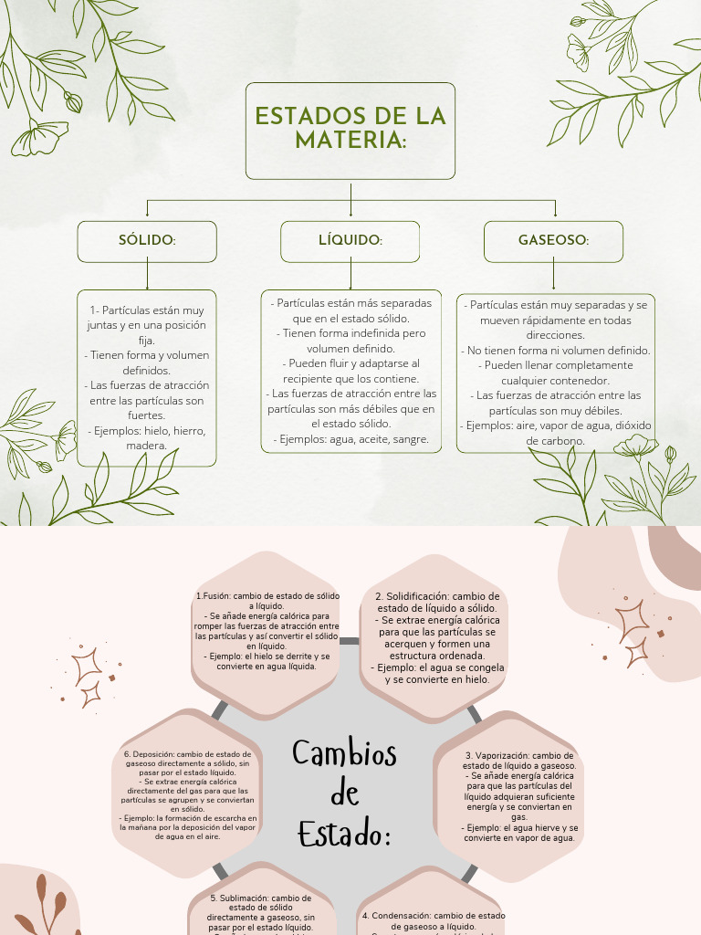 Gráfico Proceso de Elaboración Del Café Simple Marrón y Beige | PDF ...
