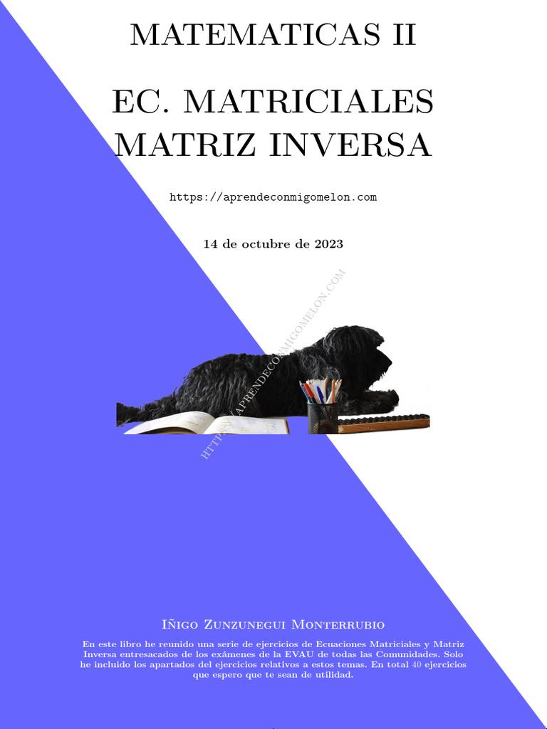 Matematicas II Ecuaciones Matriciales Matriz Inversa Ejercicios Resueltos Evau Inigo Zunzunegui ...
