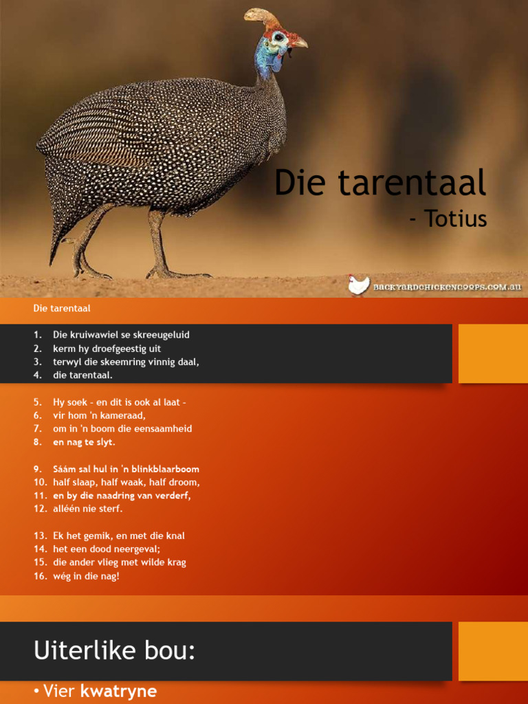 Die Tarentaal - Verduideliking Vrae en Memo | PDF