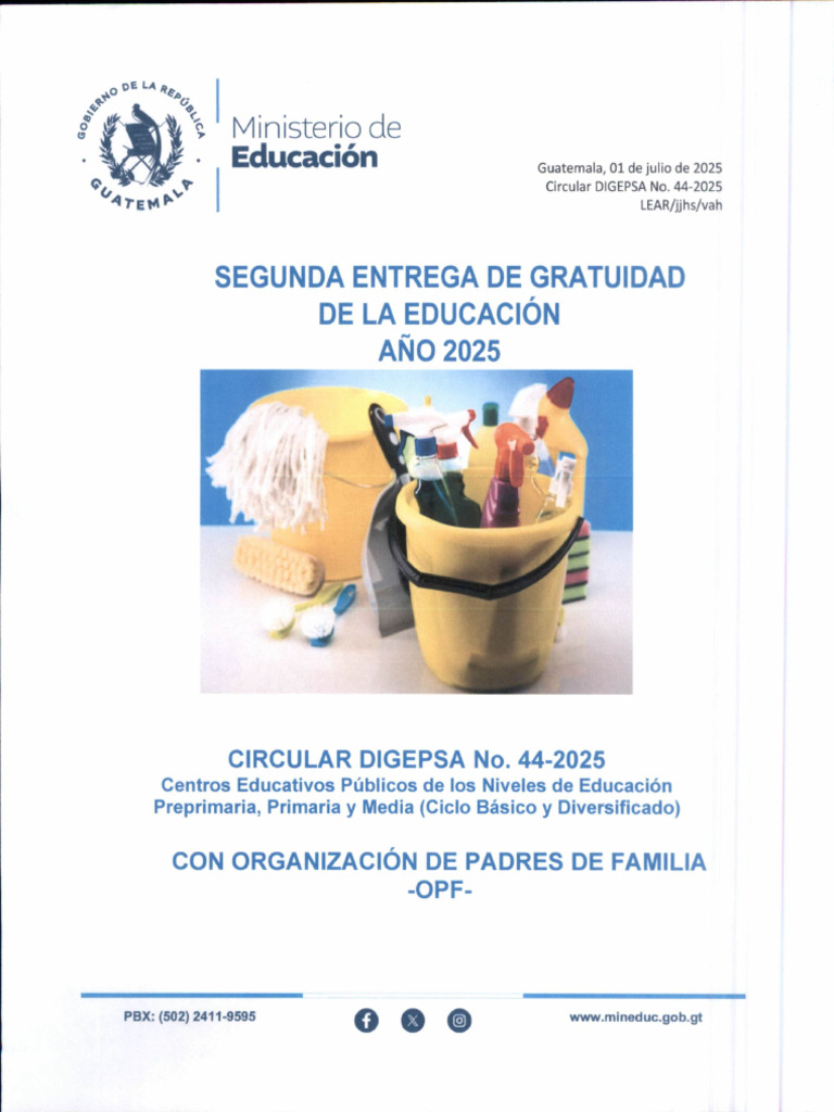 Circular Digepsa No. 44-2025 | PDF