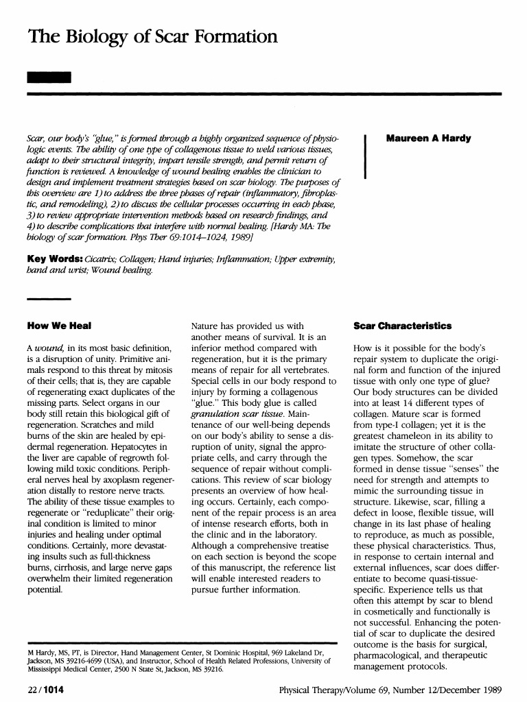 Understanding Scar Formation and Healing | PDF | Healing | Inflammation