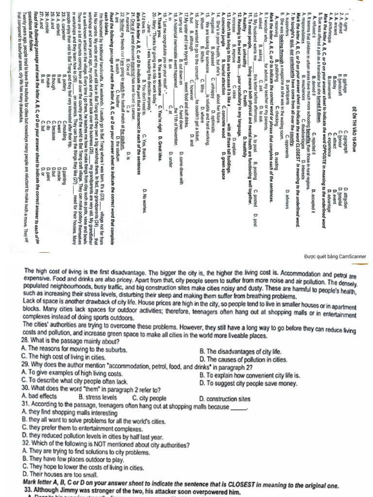 P5 | PDF
