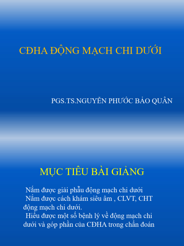 Cđha Dong Mach Chi Duoi, 06.2024 | PDF