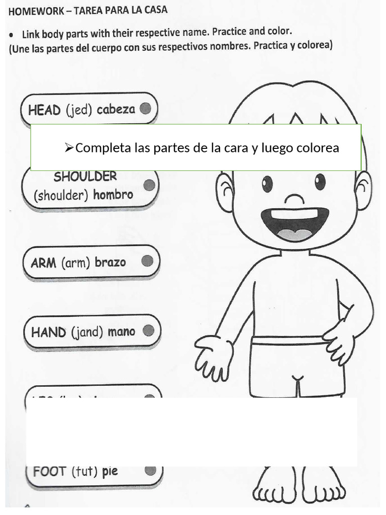 Partes de La Cara y El Cuerpo 28 - 05 | PDF