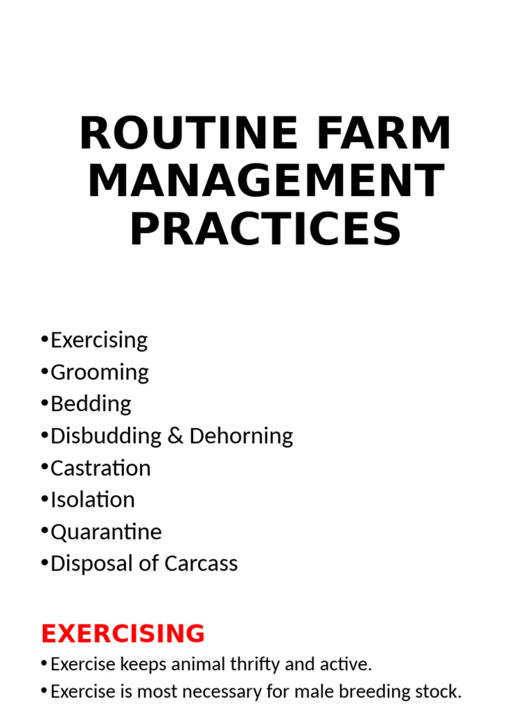 Essential Routine Practices for Farm Animals | PDF | Quarantine ...
