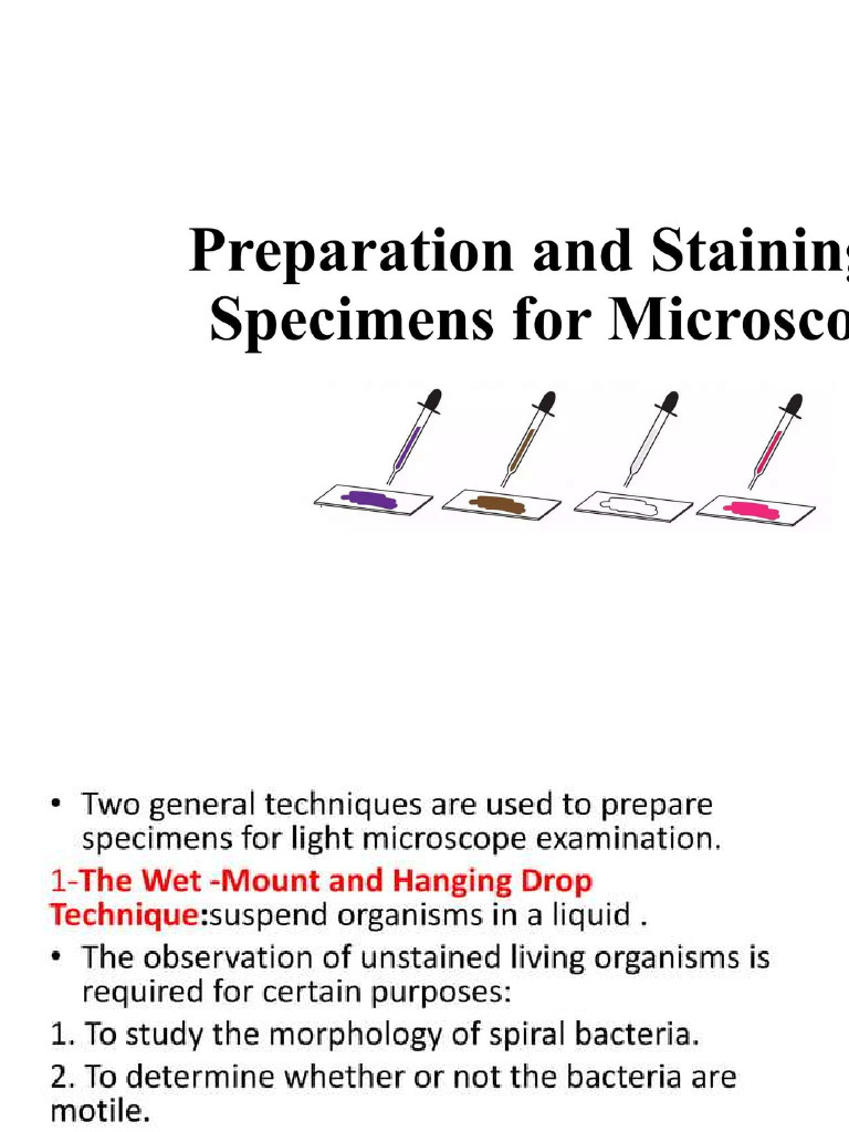 CHAPTER 3 Specimen Preparation & Staining - PPTX - 20250529 - 010636 - 0000 | PDF