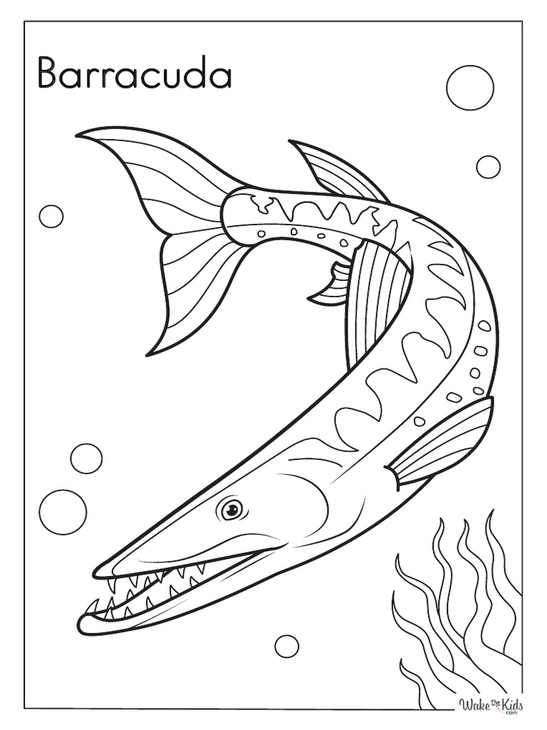 Barracuda Coloring Page A4 | PDF