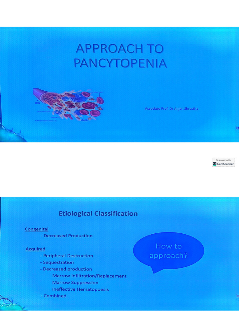 Approach To Pancytopenia | PDF