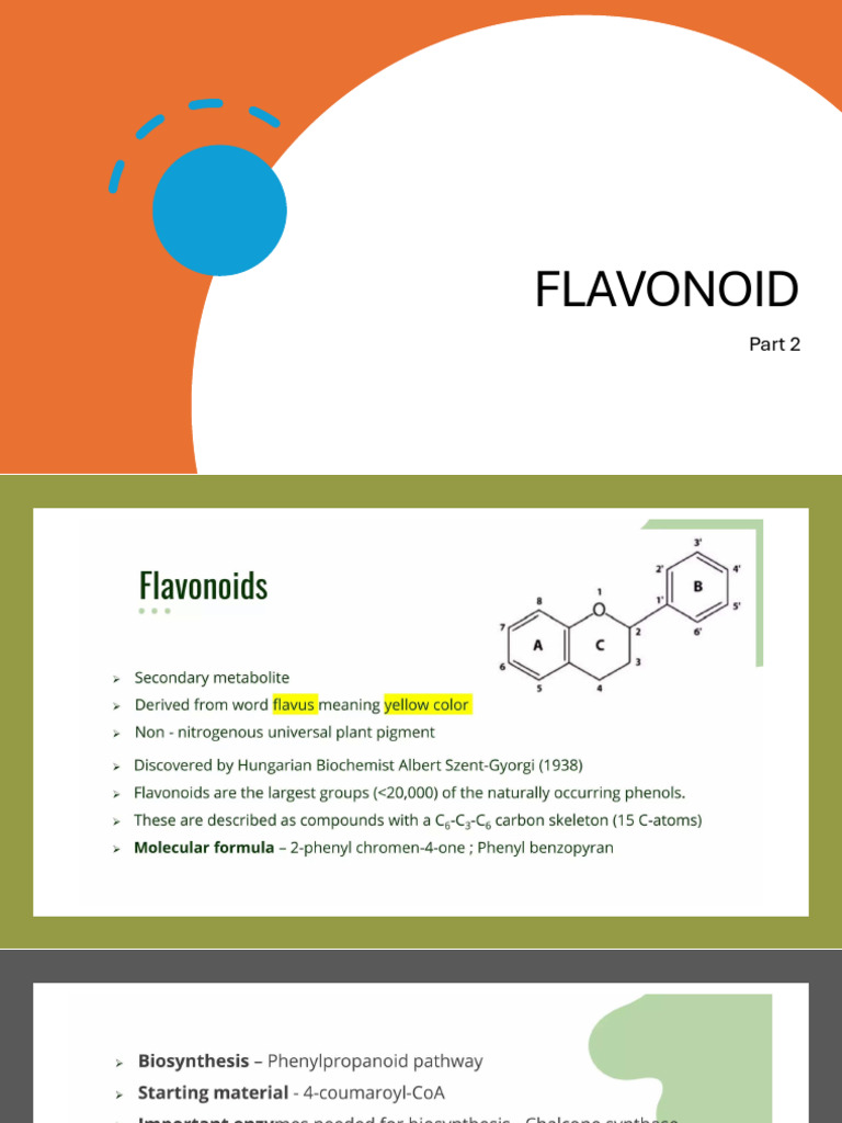 Flavonoid 2 Pdf