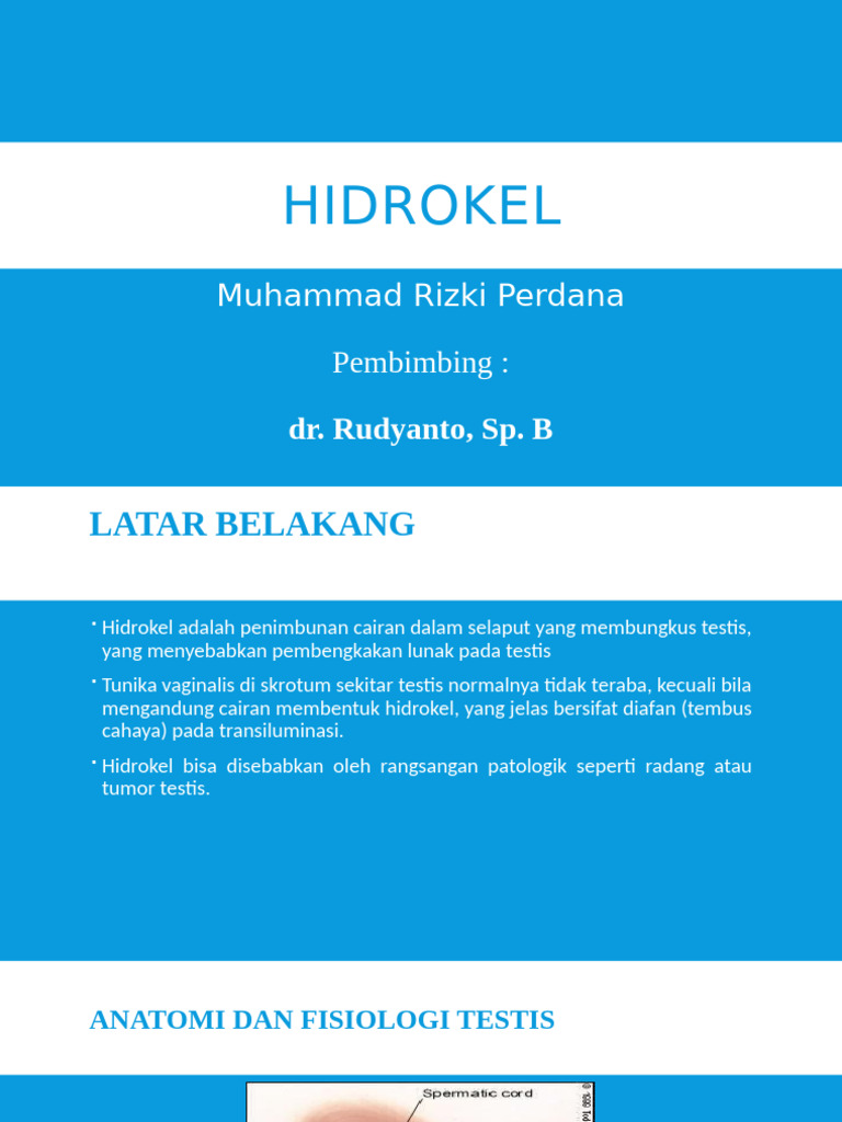 Hidrokel PPT Rizki | PDF