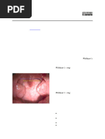 Normal Tonsil Size and Grading | PDF | Infection | Immunology