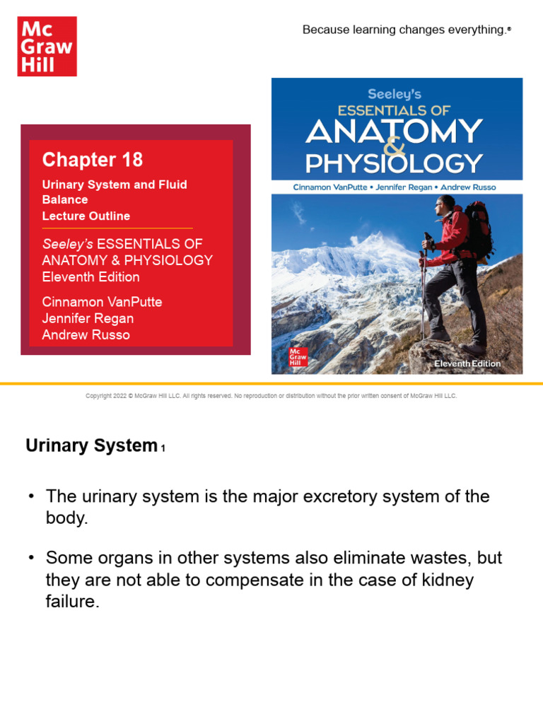 Urinary System and Fluid Balance Overview | PDF | Kidney | Angiotensin