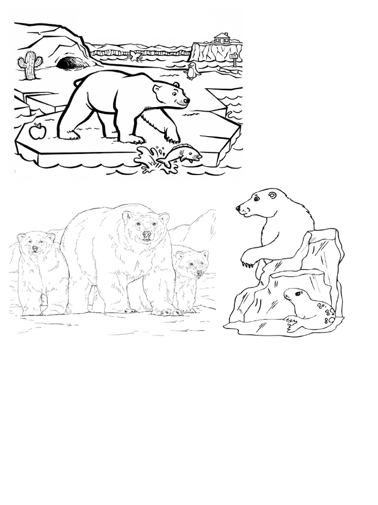 Polar Bear Pdf