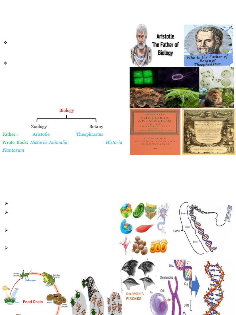 Introduction to Biology Concepts | PDF | Bioinformatics | Taxonomy ...