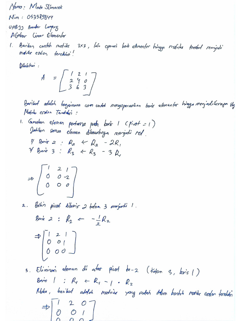 Made Slimacek Aljabar Linear Elementer (Diskusi 2) | PDF