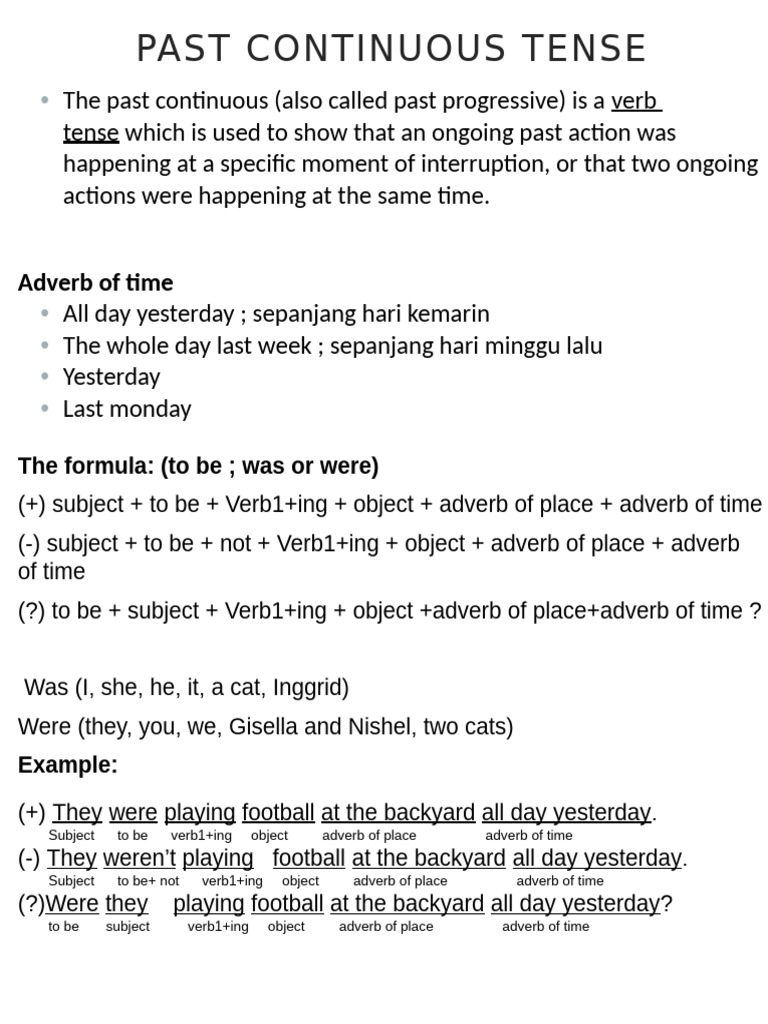 Past Continuous Tense | PDF