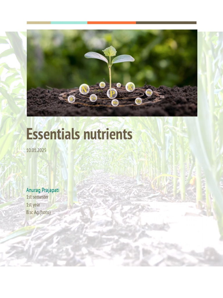 Essential Nutrients For Plants | PDF | Plant Nutrition | Nutrients