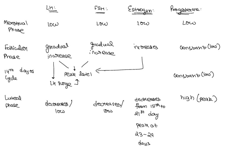 Menstrual Cycle Graph | PDF