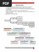 Human Body Coordination Systems | PDF | Synapse | Chemical Synapse