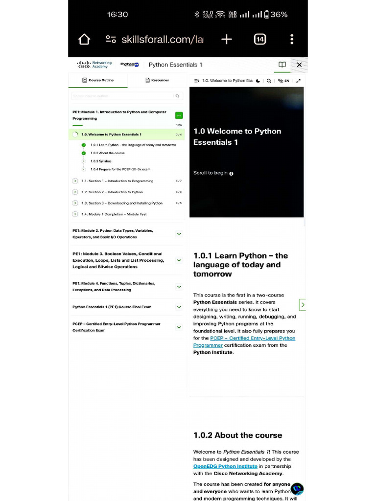 Programming Essentials in Python | PDF