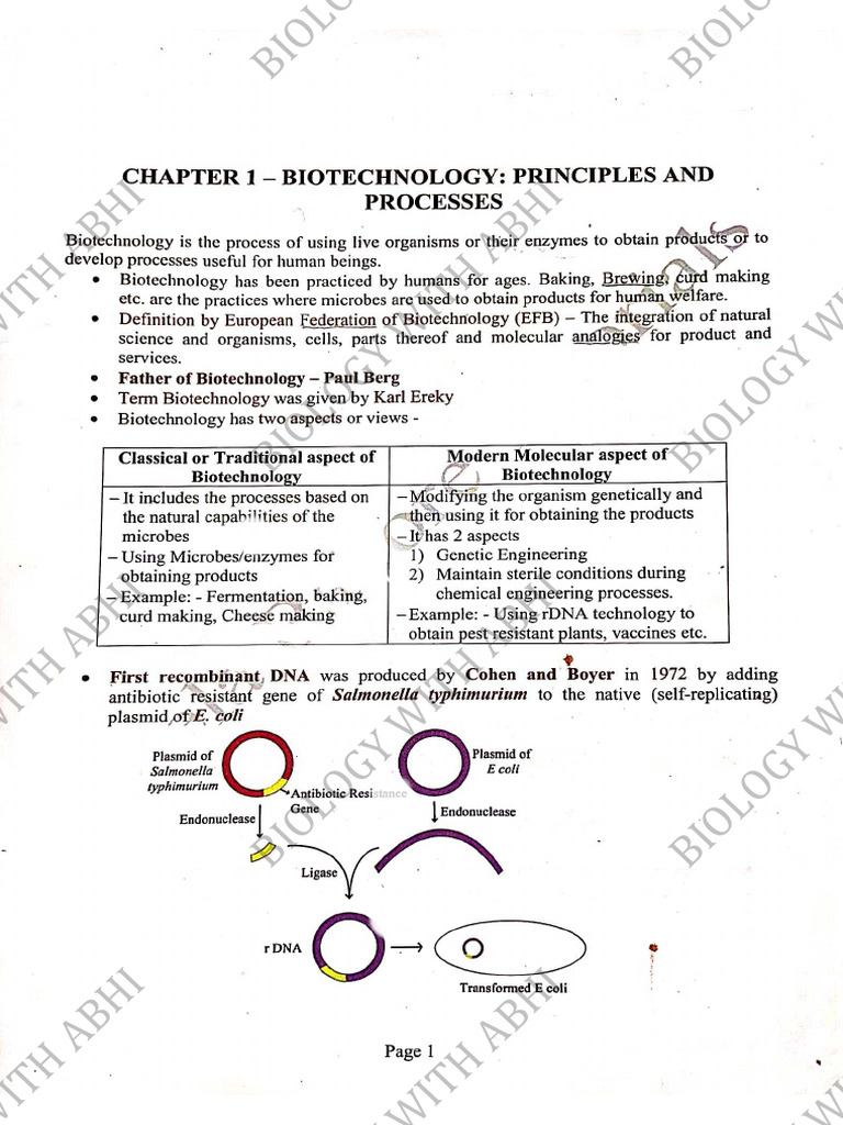 Biotechnology - Processes and Techniques | PDF