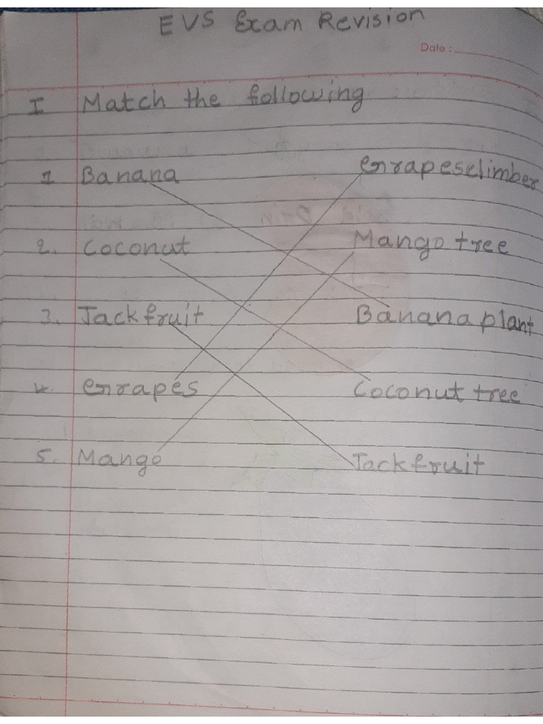 EVS SA 2 Revision | PDF