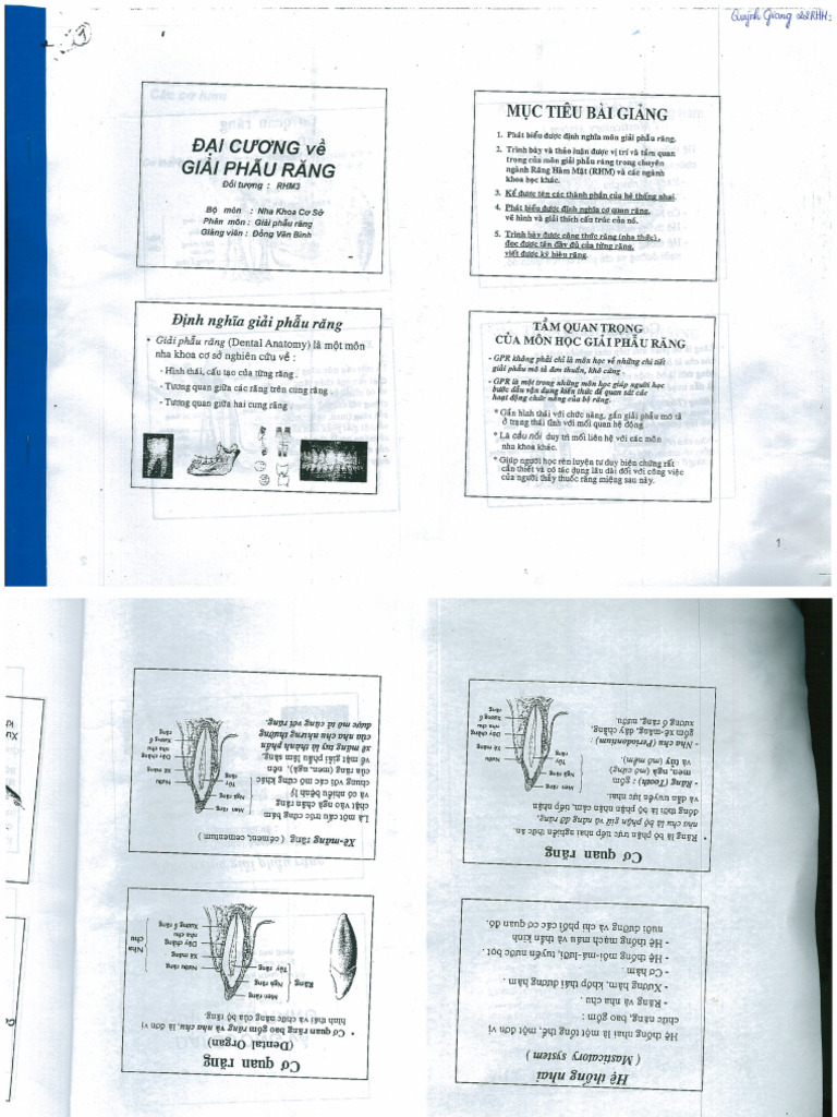 Tài Liệu Học Tập Gpr | PDF