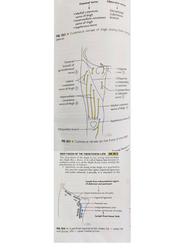 PDFGallery 20241213 205243 | PDF