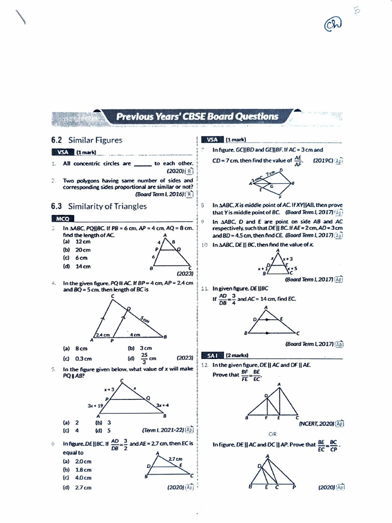 CH 6 Triangles | PDF