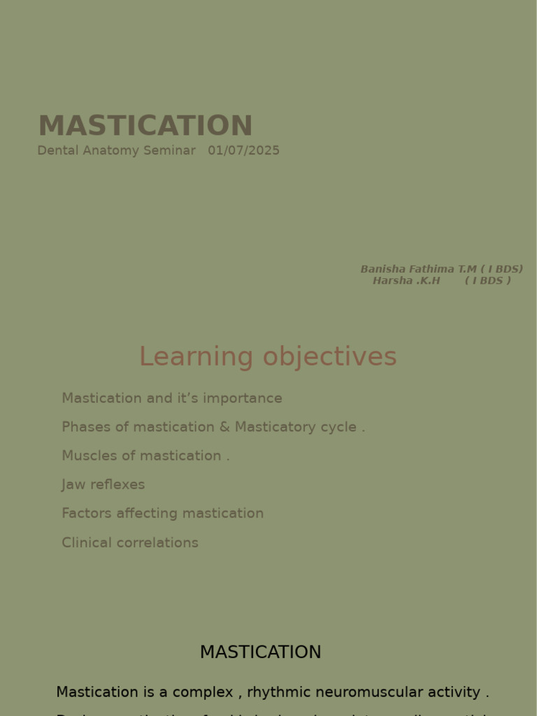 Muscles and Phases of Mastication | PDF