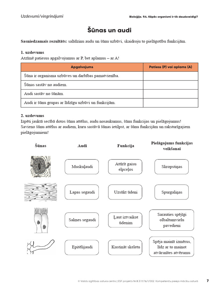 3 Sunas Un Audi | PDF