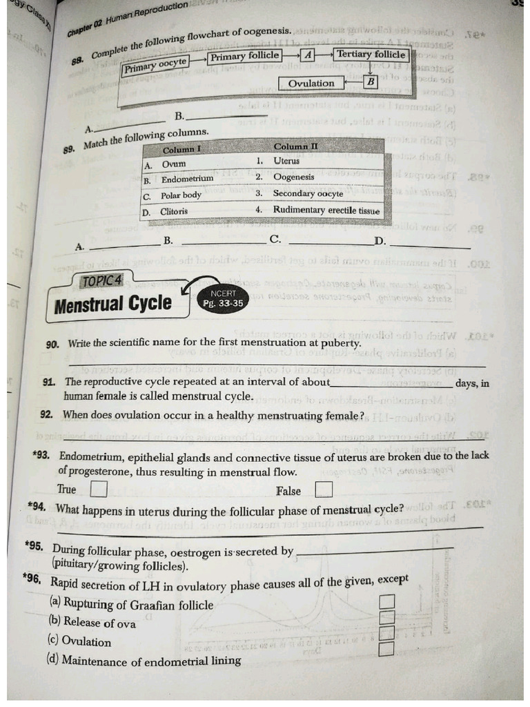 Biology Holiday Homework 2025 | PDF
