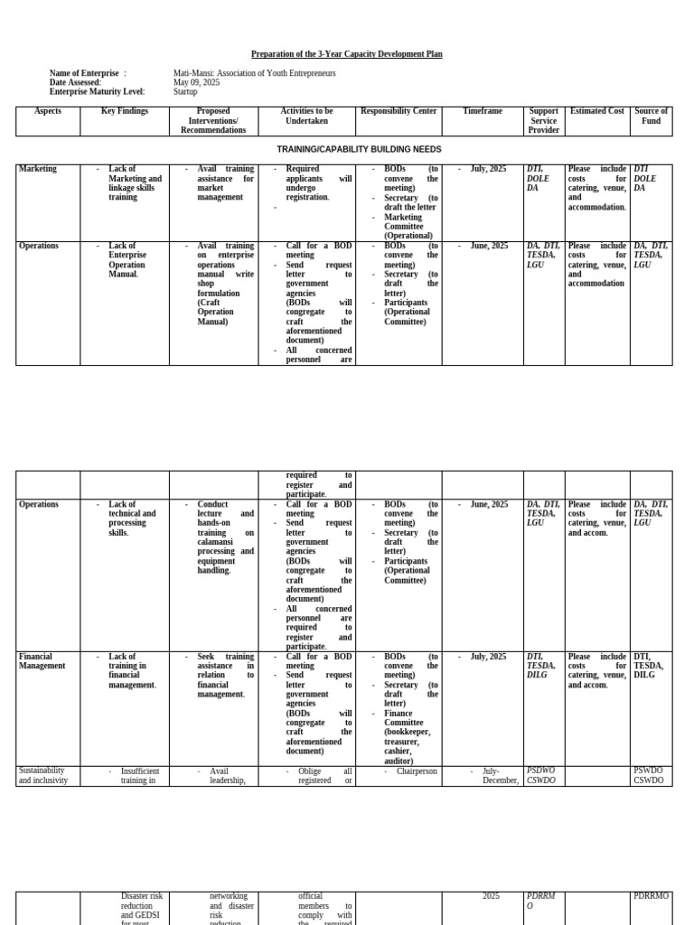Preparation For The 3 Year Capacity Development Plan | PDF | Business