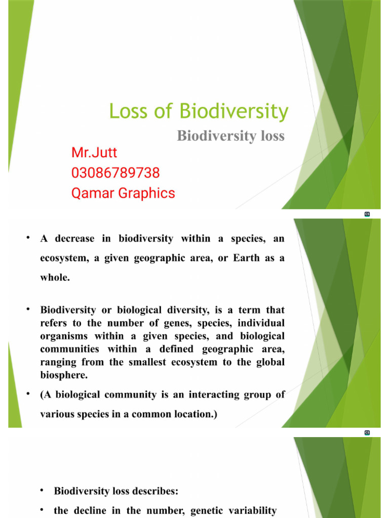Loss of Biodiversity | PDF