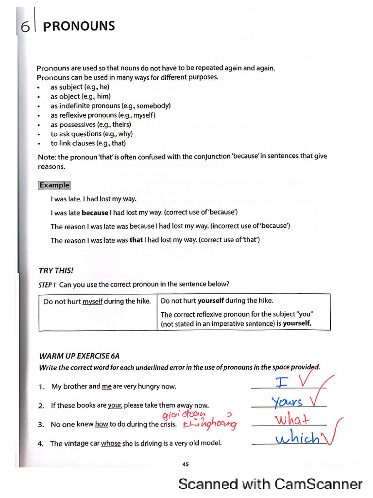 Unit 6 - Pronouns | PDF