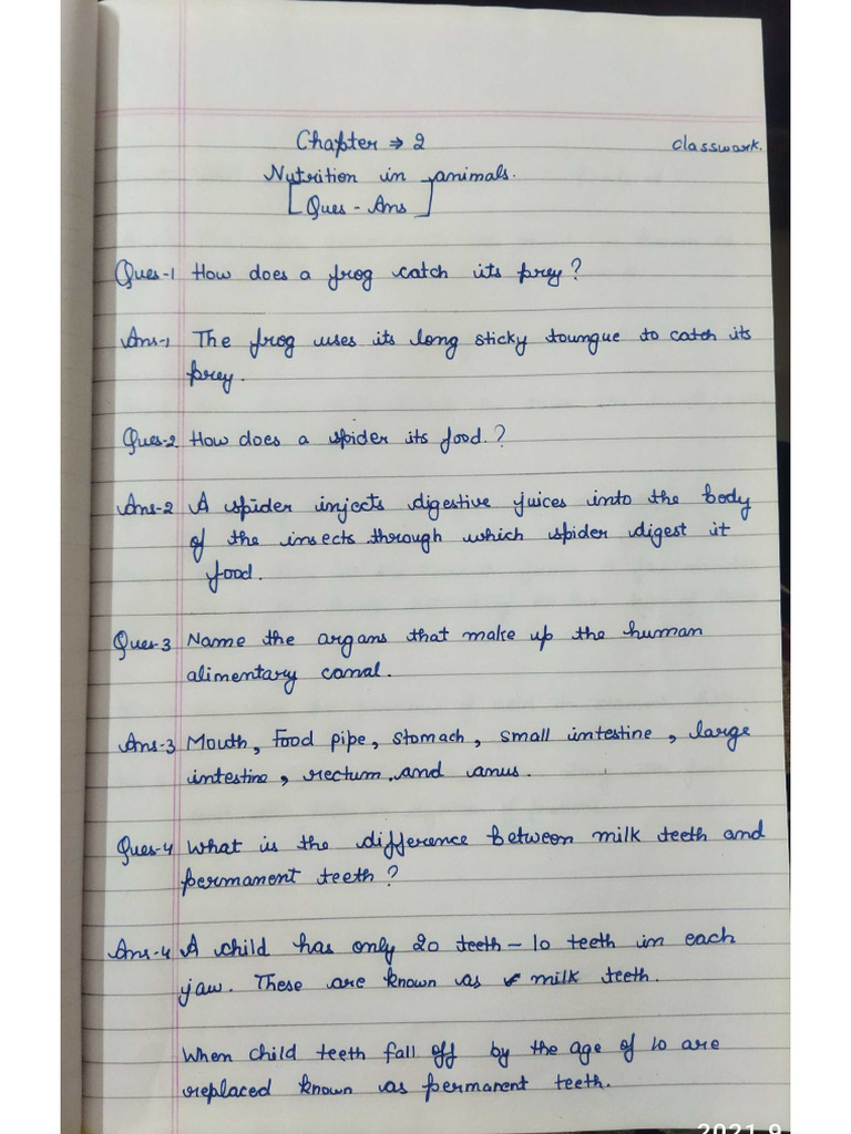 Chapter - 2 Short Ques Ans | PDF