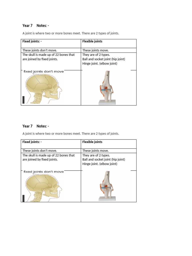 Joints Notes | PDF