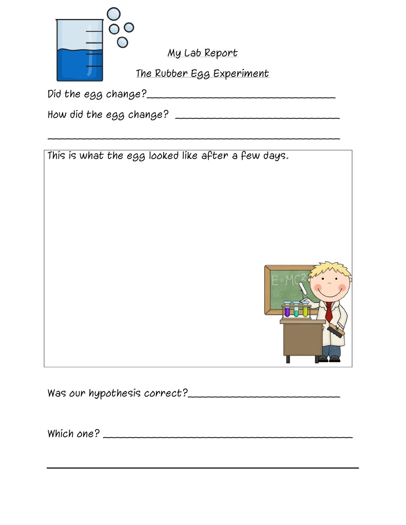 Rubber Egg Experiment Lab Report | PDF