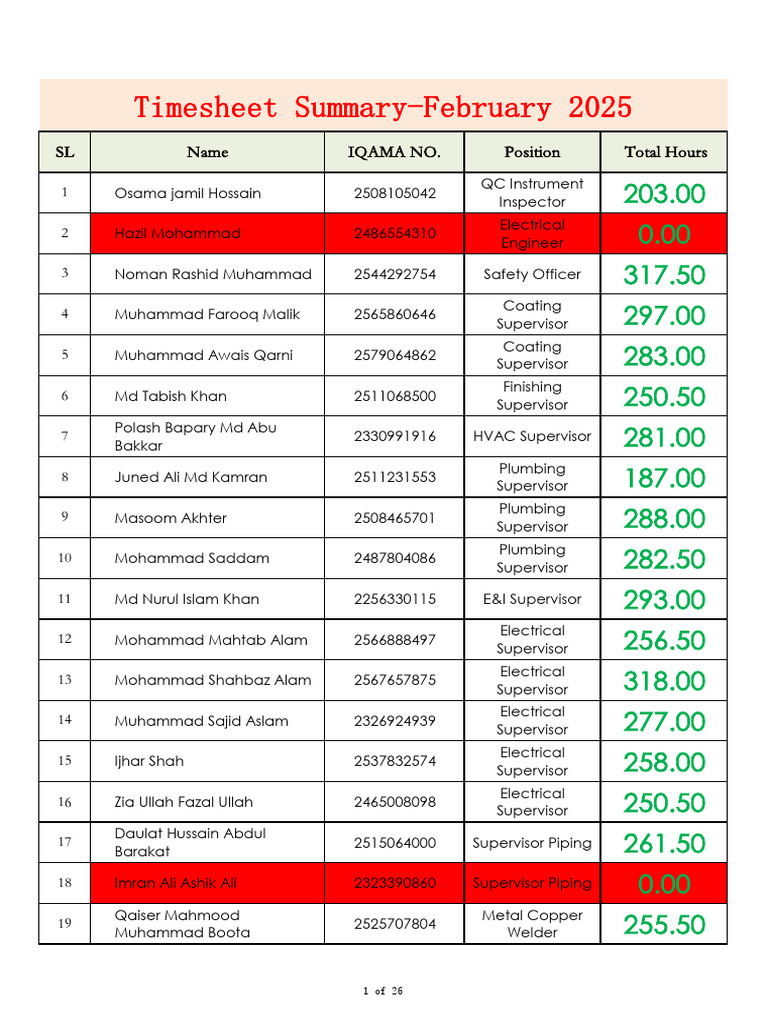 Timesheet Summary - February 2025 | PDF