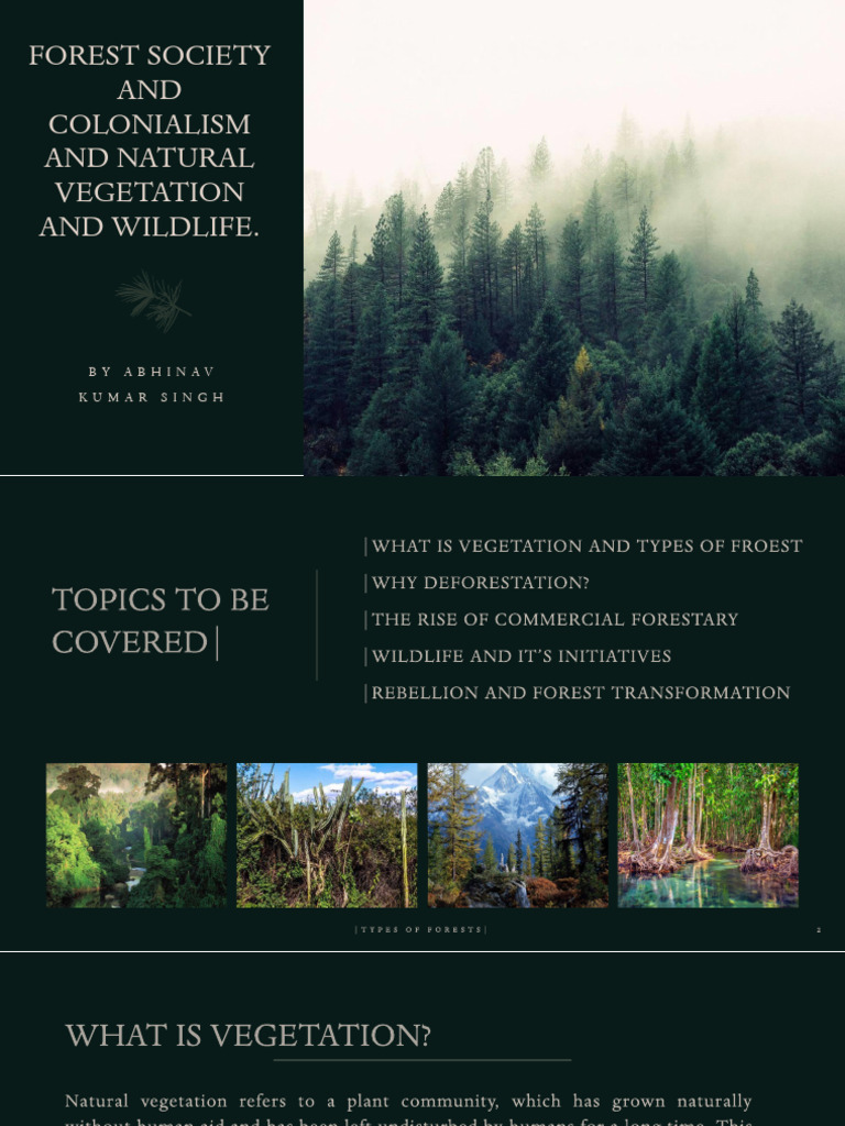 Forest Society AND Colonialism and Natural Vegetation and Wildlife | PDF