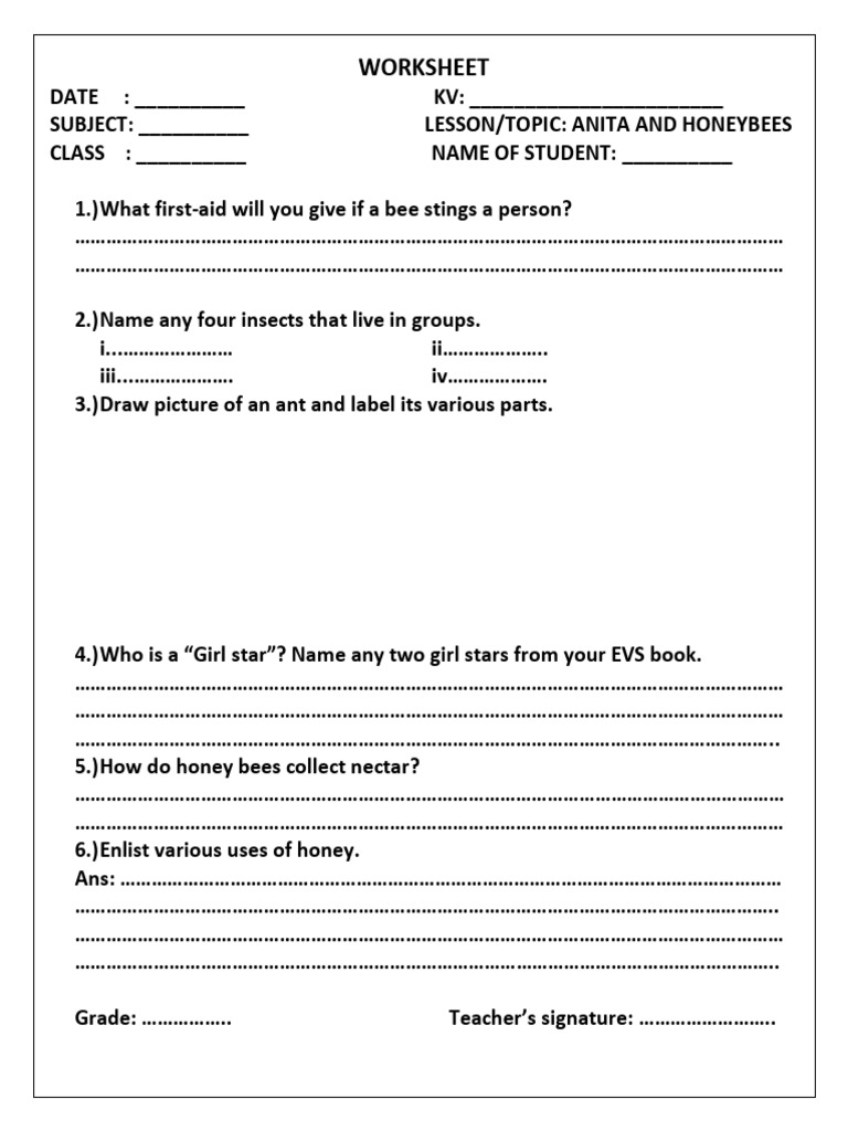 CBSE Class 4 EVS Revision Worksheet - Anita and Honeybees | PDF ...