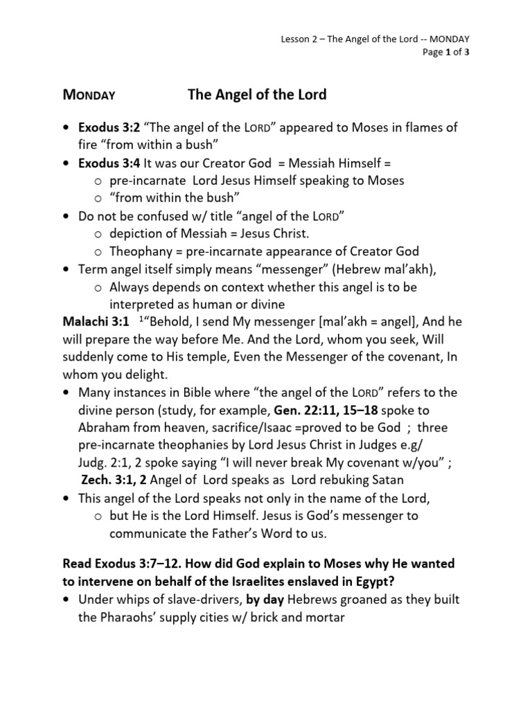 Shelley Quinn 2025 Q3 L2 The Angel of The Lord | PDF | Book Of Exodus | The Exodus
