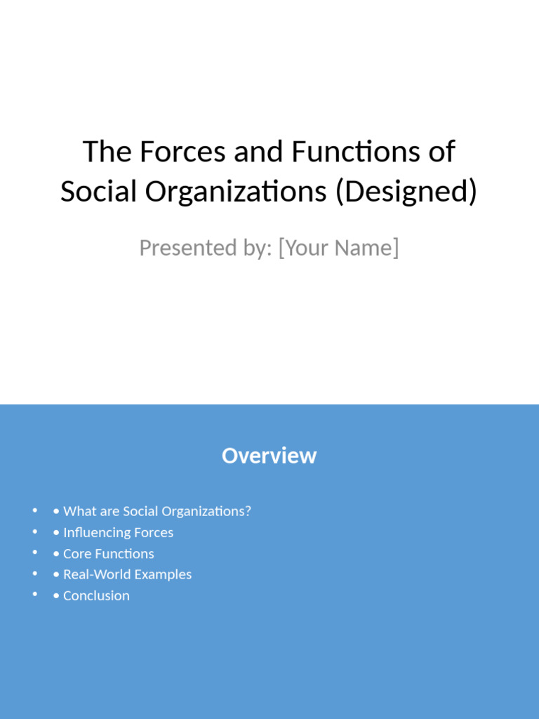 Forces and Functions of Social Organizations | PDF