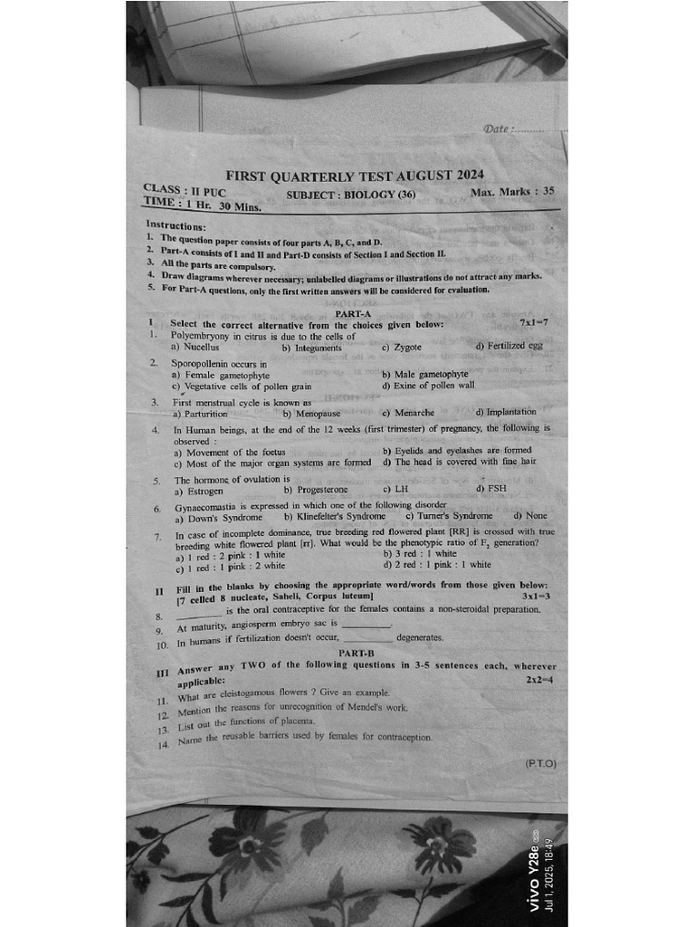 Practice Paper | PDF