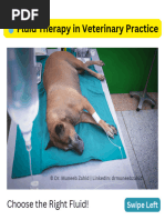 2024 AAHA Fluid Therapy Guide | PDF