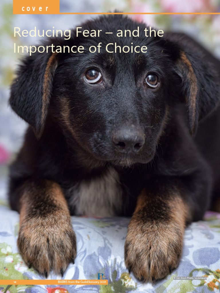 Reducing Fear - and The Importance of Choice | PDF | Fear | Classical ...